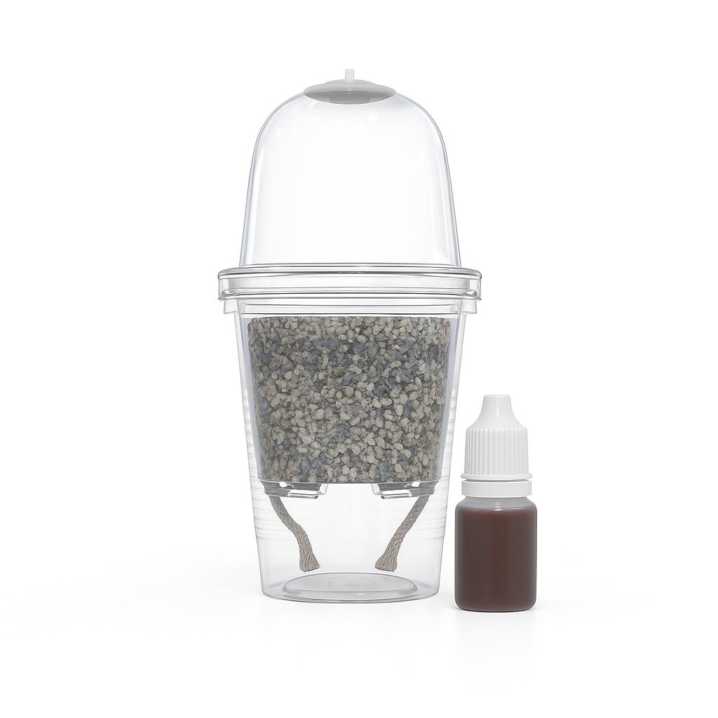 Tissue Culture Acclimation Kit (3″ Self-Watering Cup) – Rareplantninja